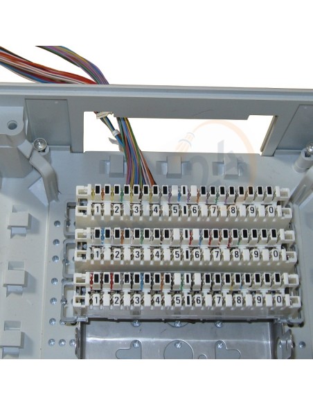 Telco RJ21 Cable to Krone Cable