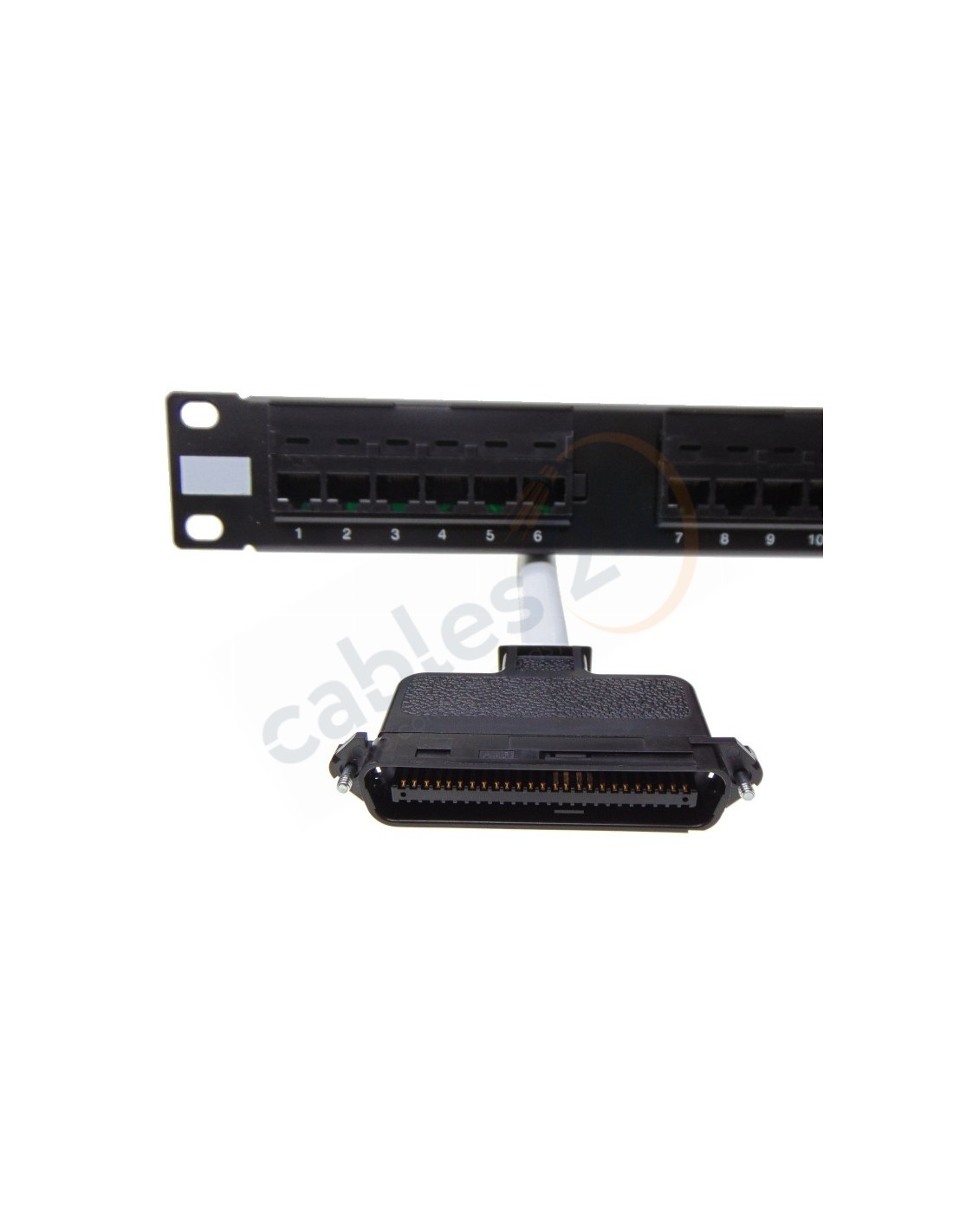 Cable Telco RJ21 panel 24 RJ45 para Patton SmartNode 4312, 4316, 4324