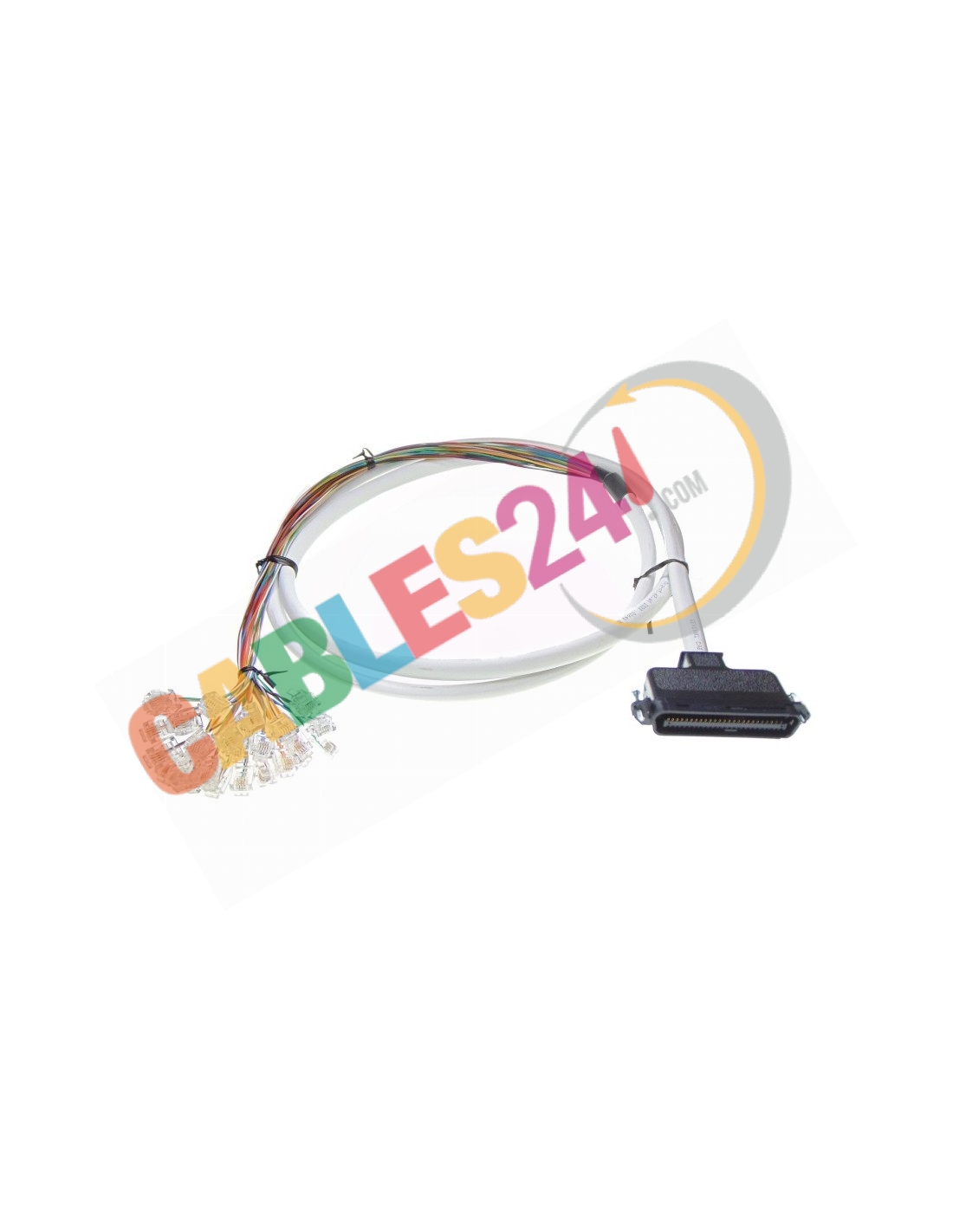 Male RJ21 Telco Cable CAT.3 180 degrees to 24 RJ11 male